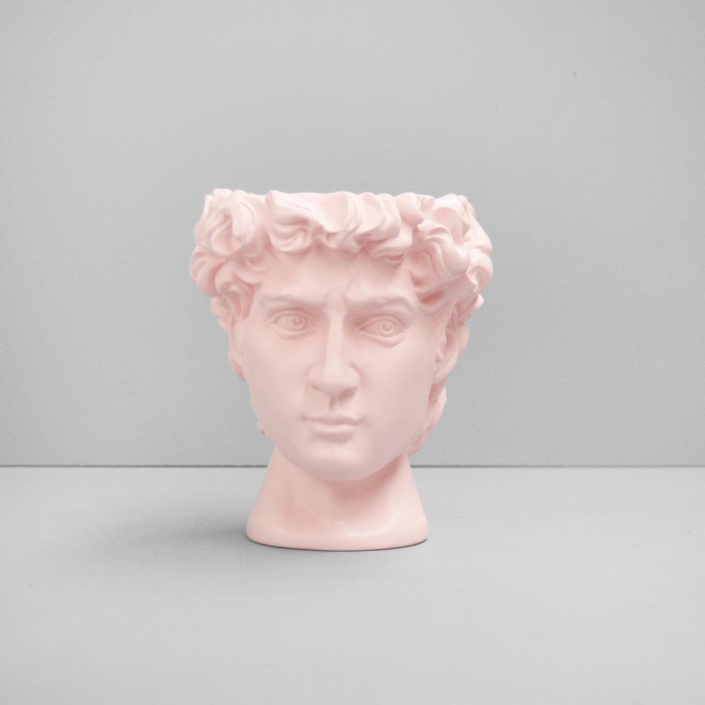 David Vase/Plant Holder Pink – Blue Dog Posters