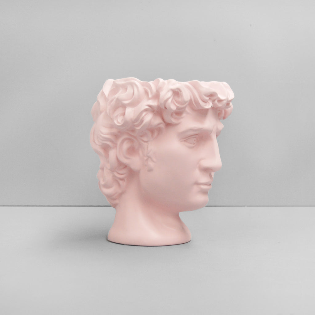David Vase/Plant Holder Pink – Blue Dog Posters
