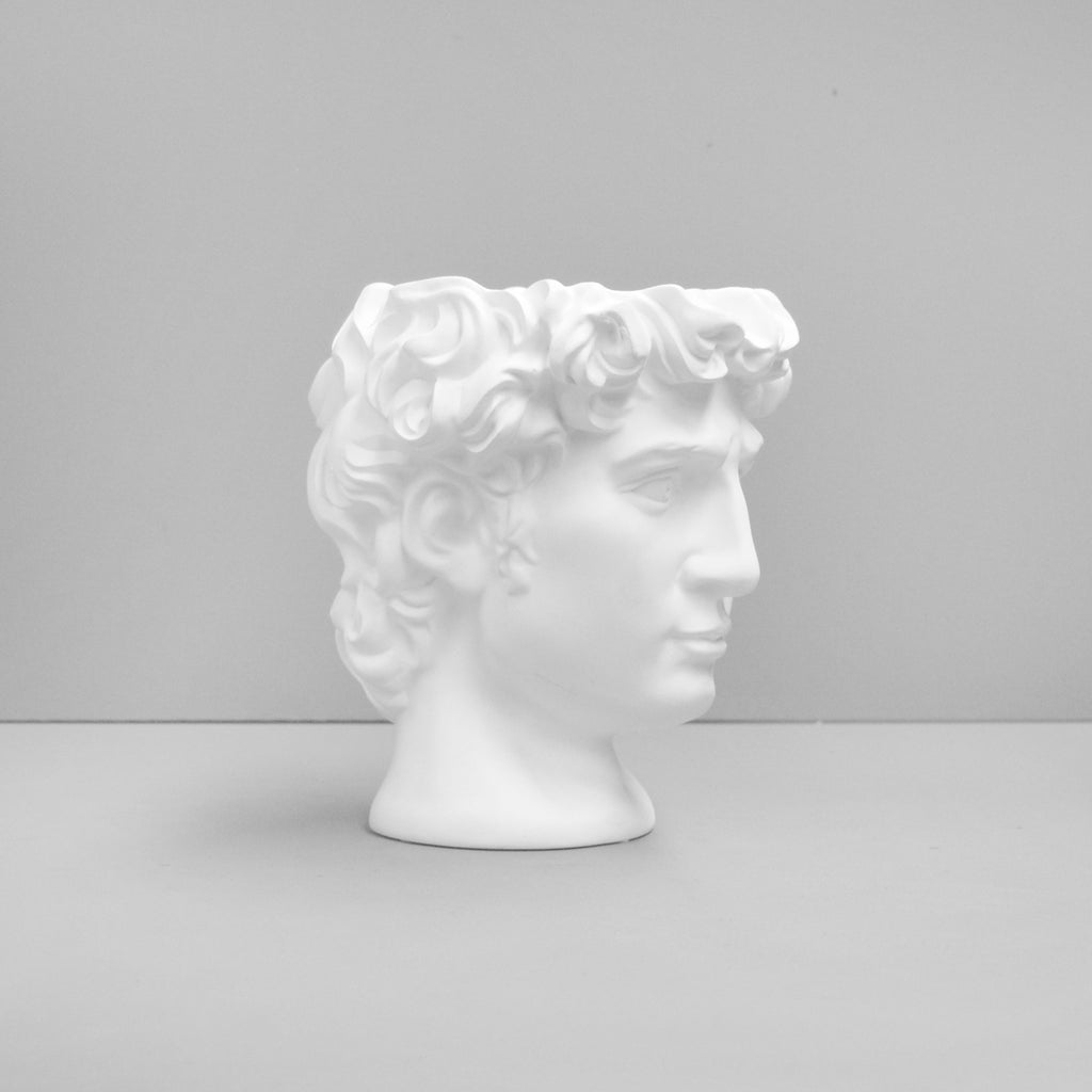 David Vase/Plant Holder White – Blue Dog Posters