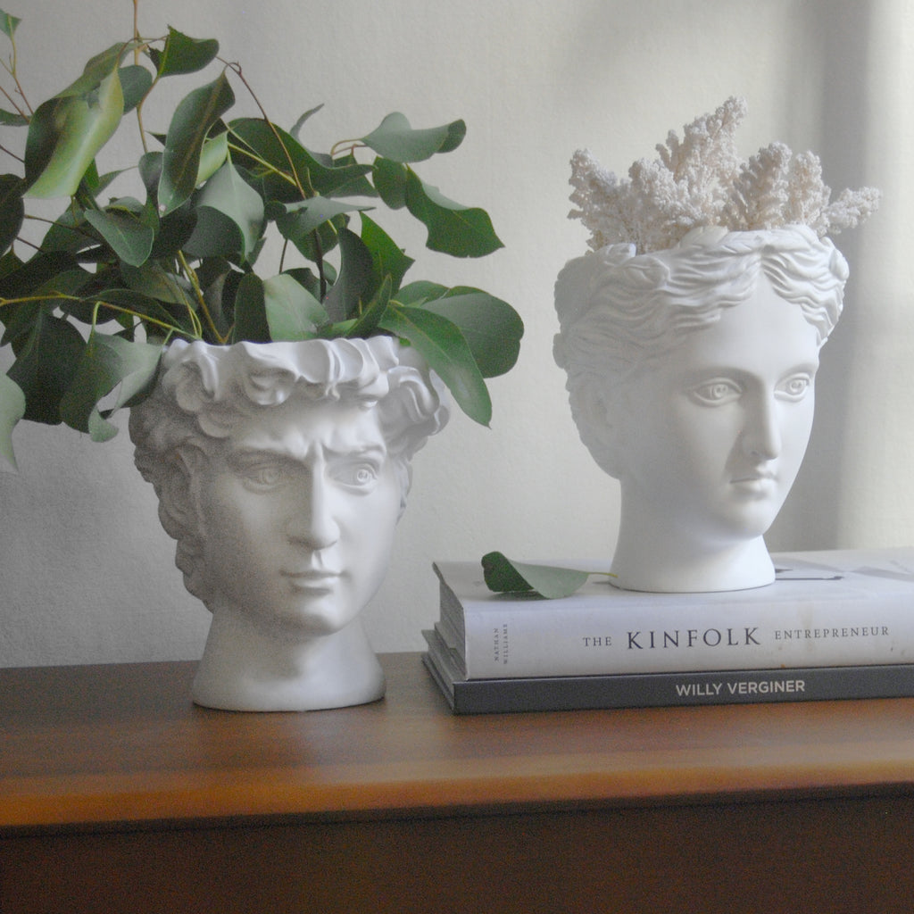 David Vase/Plant Holder White – Blue Dog Posters