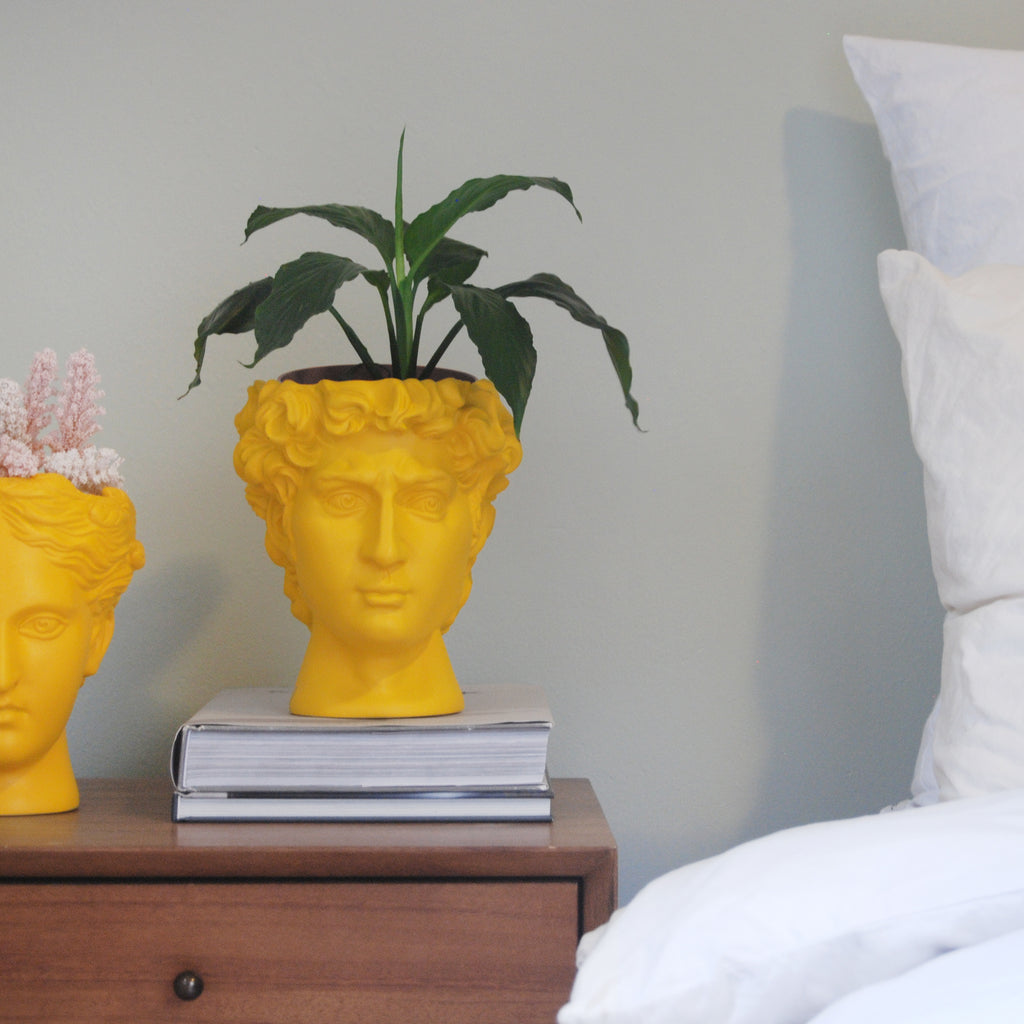 David Vase/Plant Holder Yellow – Blue Dog Posters