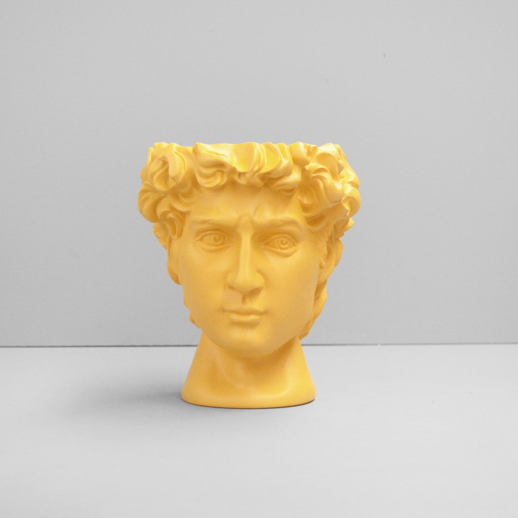 David Vase/Plant Holder Yellow – Blue Dog Posters