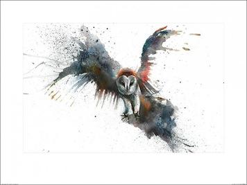 Eric in Flight - Sarah Stokes – Blue Dog Posters