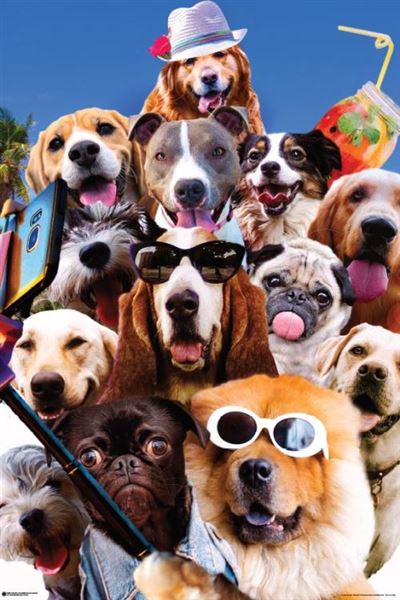 Dog Selfie – Blue Dog Posters