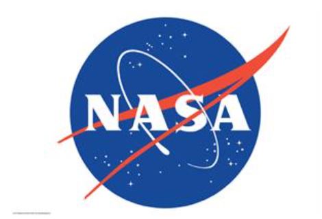 Nasa Logo – Blue Dog Posters