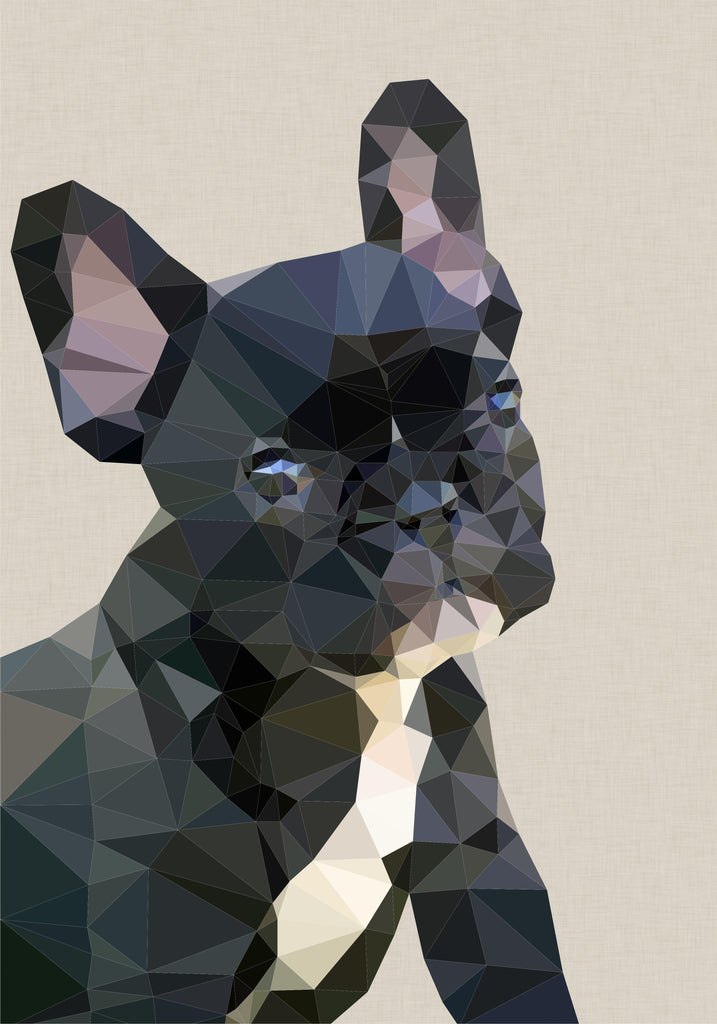 Frenchie - Studio Cockatoo – Blue Dog Posters