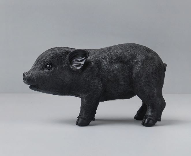 Pig Money Box - Black – Blue Dog Posters